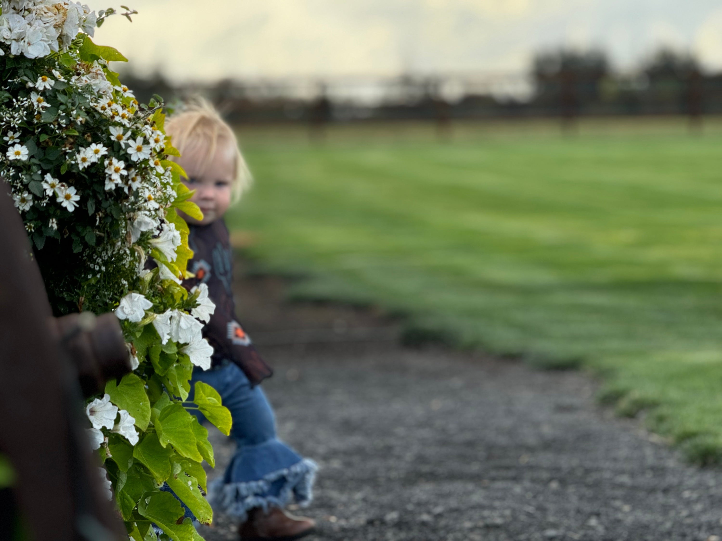 Benefits of Tallow-Short version – Buckaroo Chew